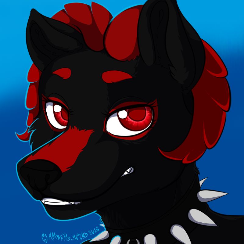 Black And Red Wolf Anthro