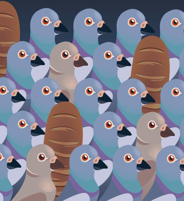 FN - Artwork - Pigeon pattern