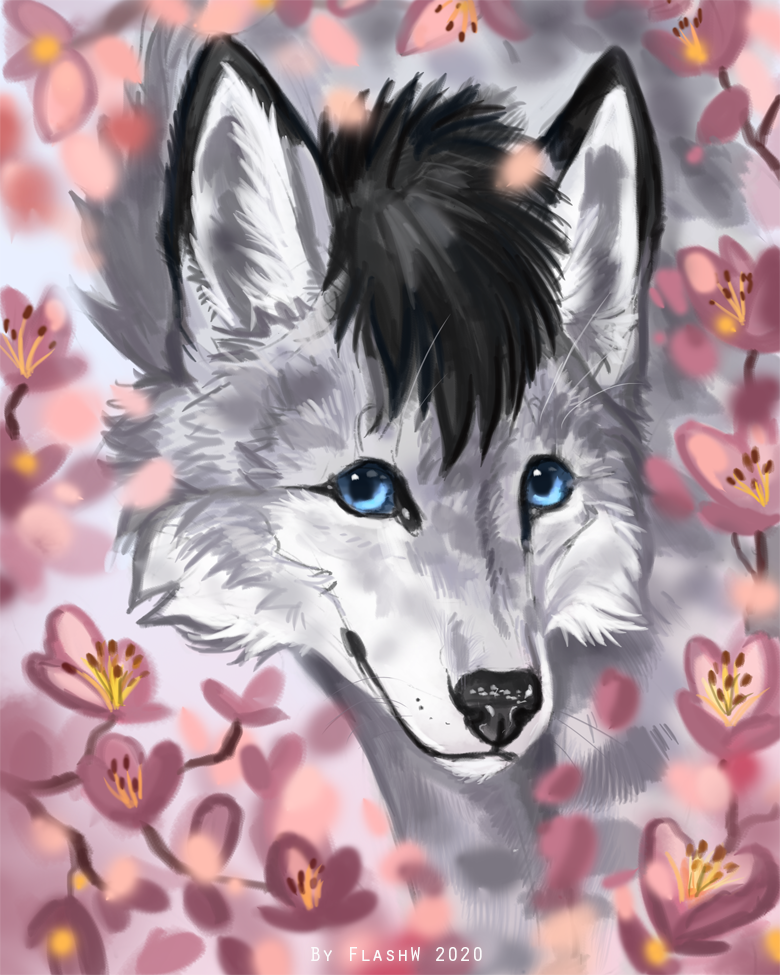 The Big ImageBoard (TBIB) - 2020 4:5 black hair blue eyes canid canine canis flashw fur hair ...