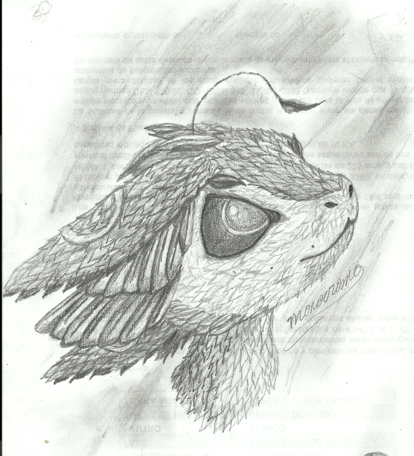 FN - Artwork - avali