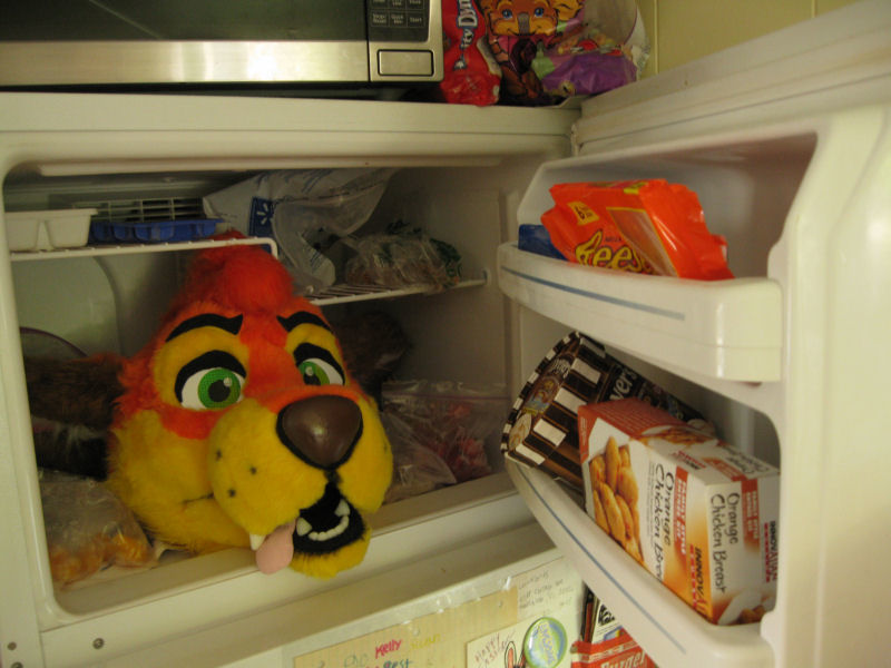 FN - Artwork - Alternate 241543903