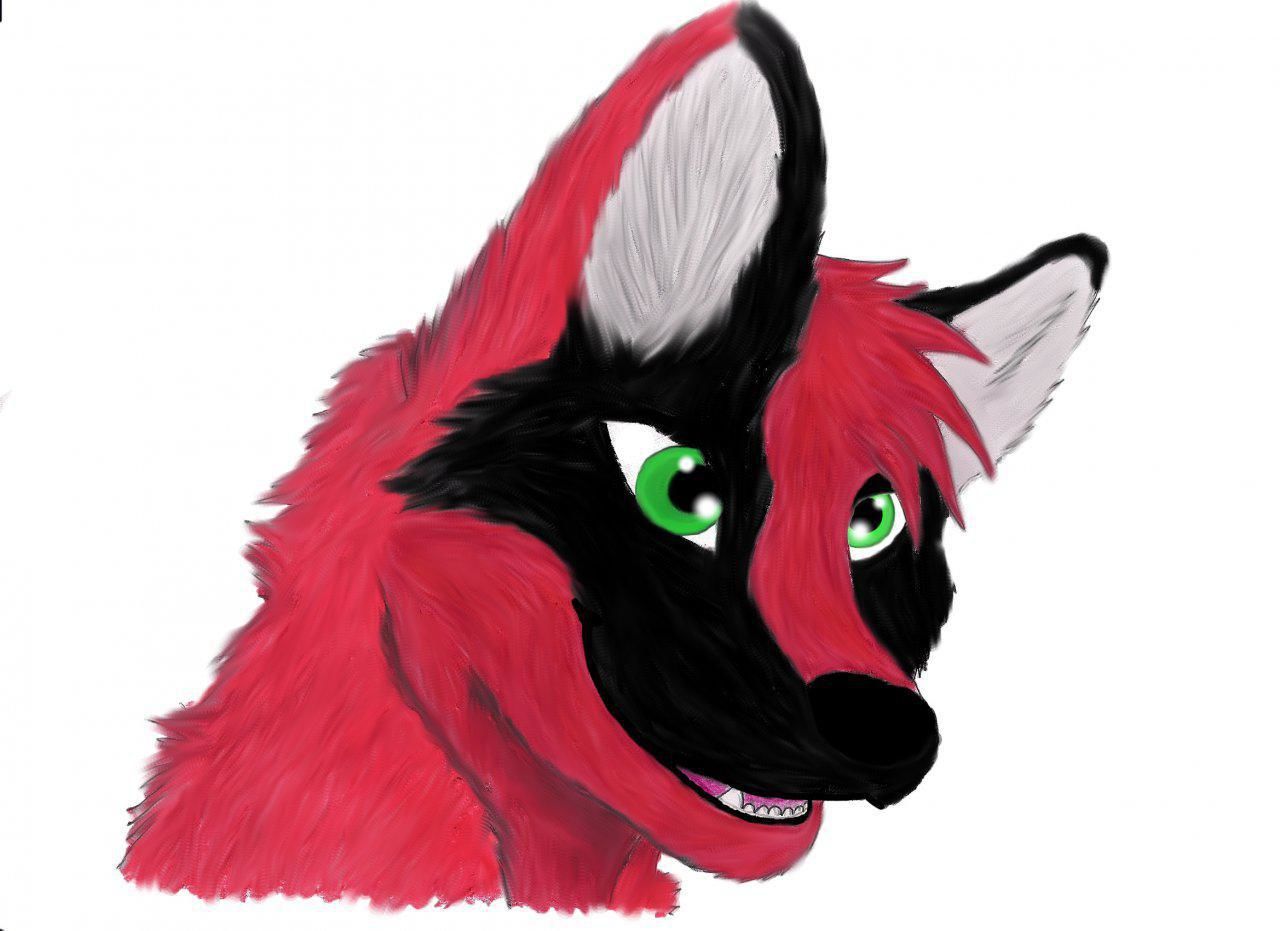 FN - Artwork - Portrait by Sephius