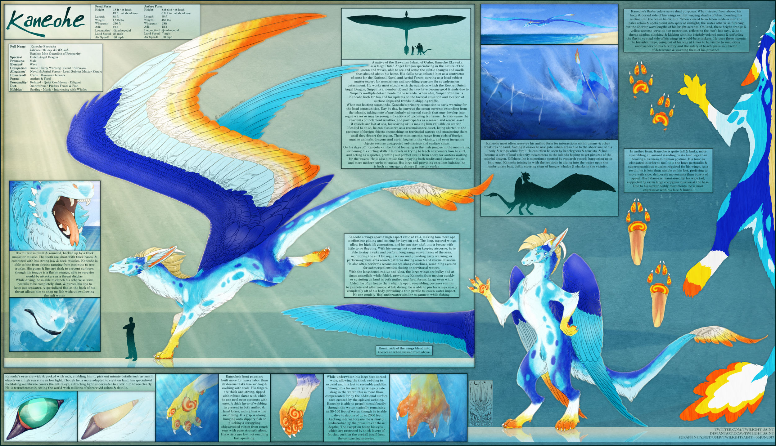Dragon Anthro Ref