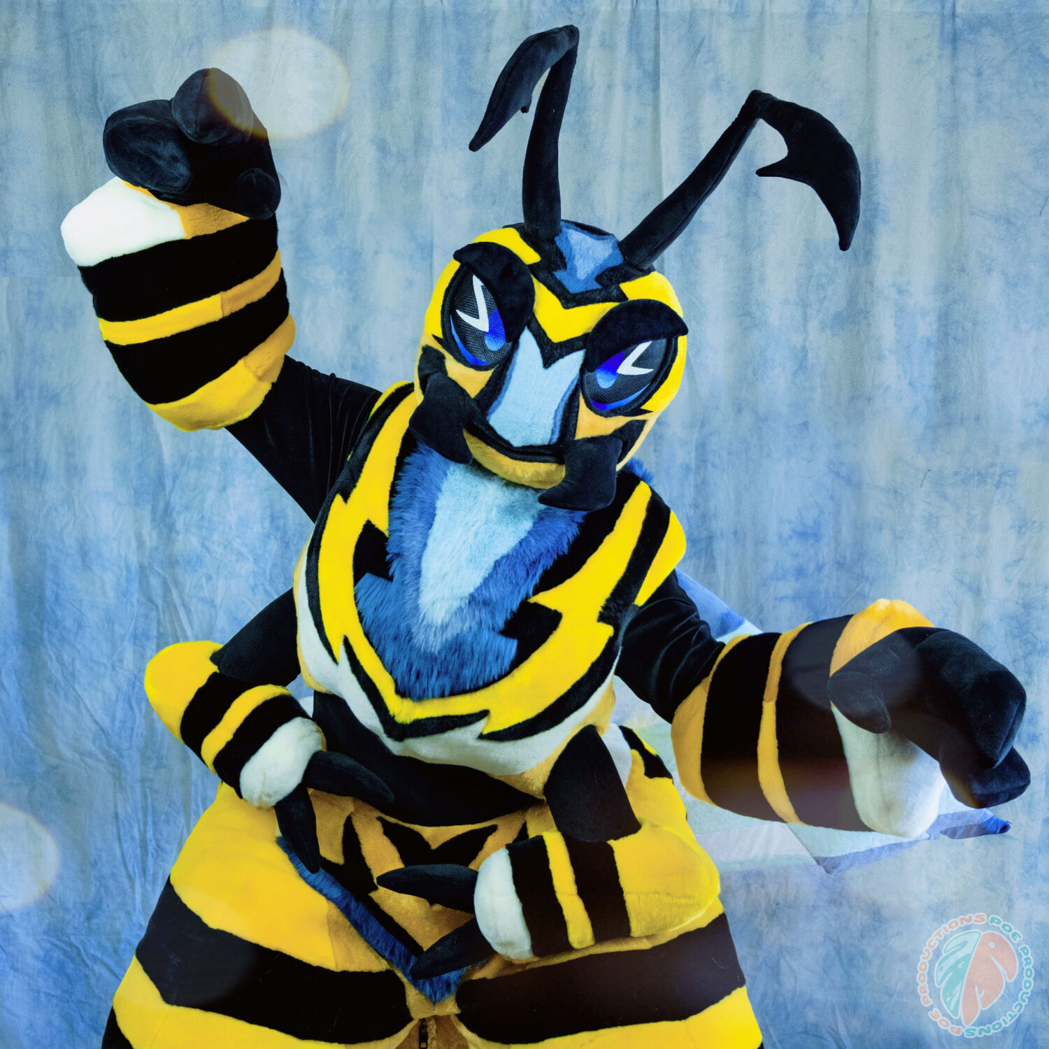 FN - Photo - AC Bee