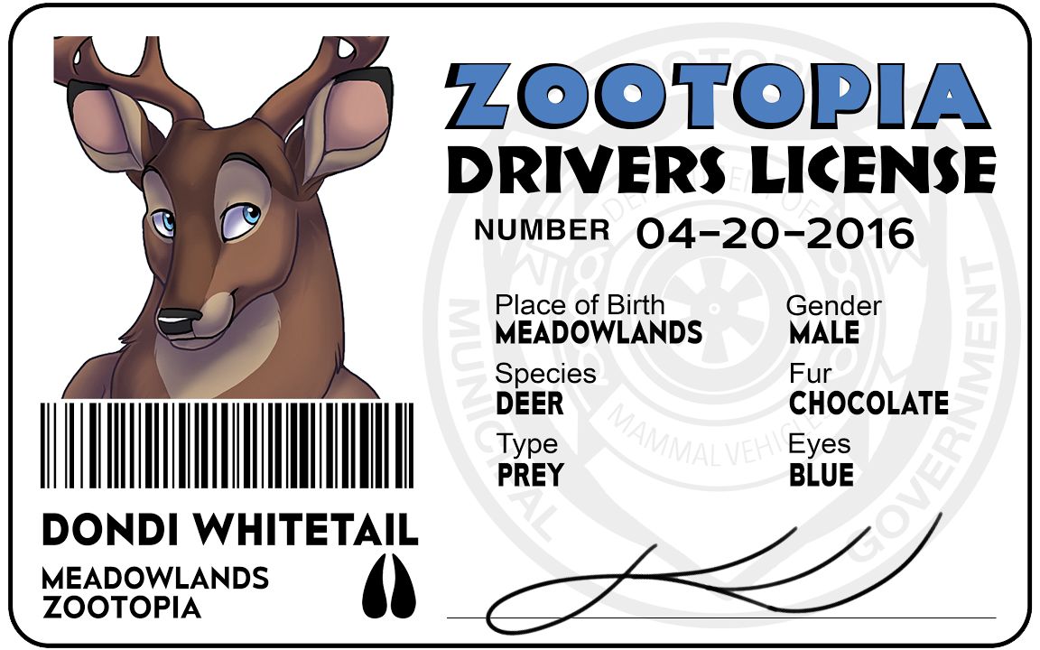 FN - Artwork - Zootopia Drivers License